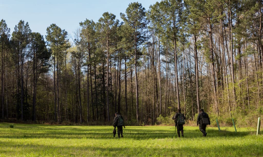 For Love of the Land #29: 5 Things that Increase the Value of ...