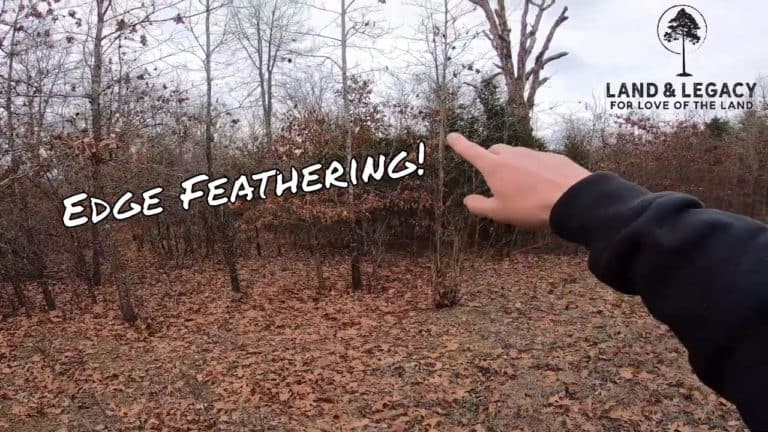 Land & Legacy Videos | All Videos