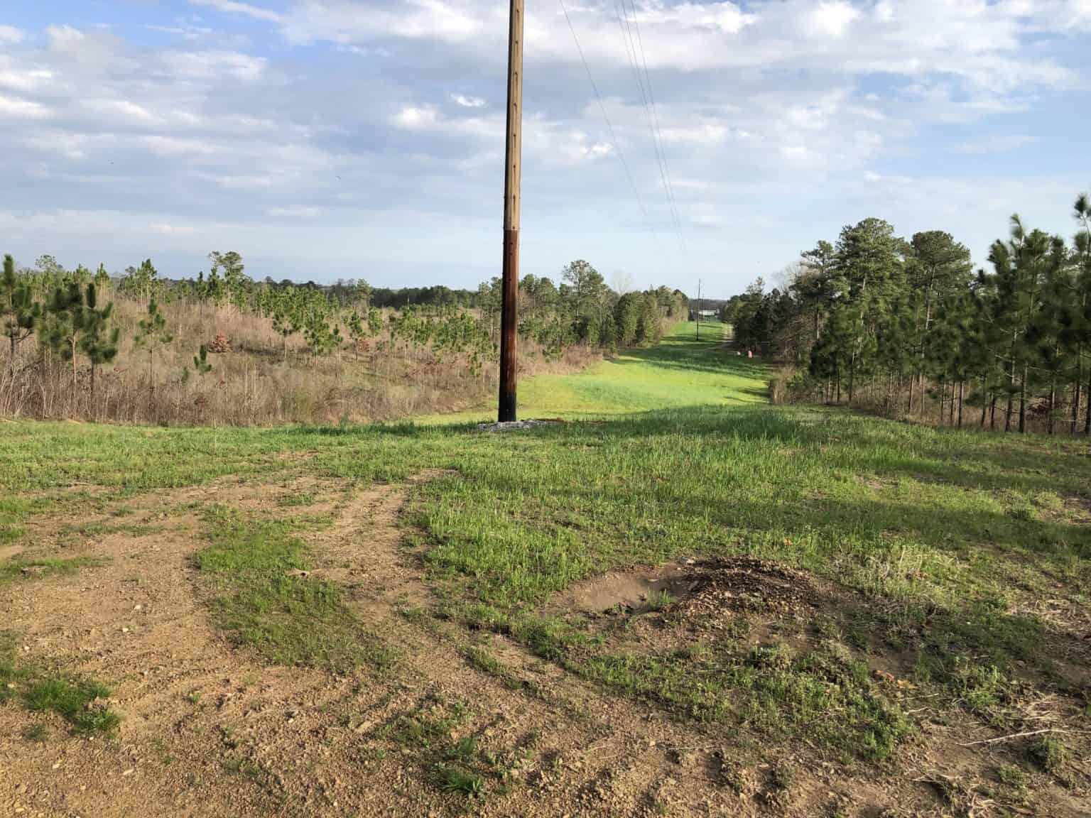 Proven Dove Hunting Tactics - Land & Legacy