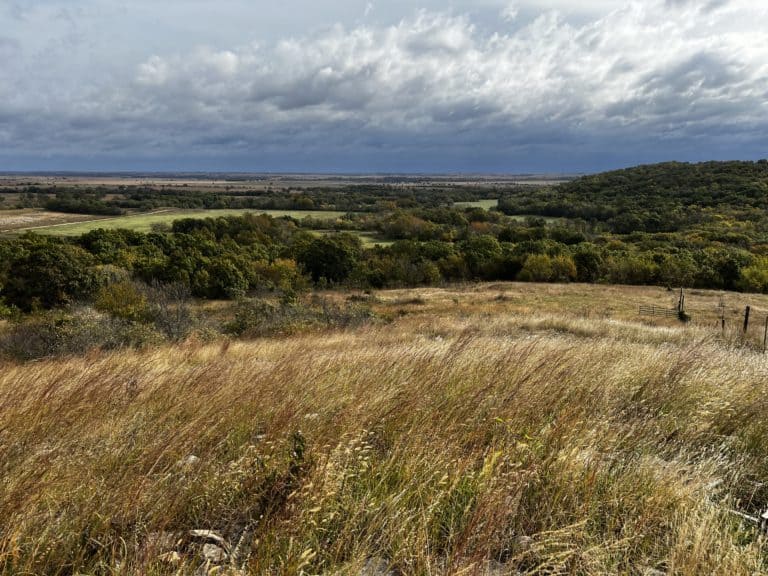 Land & Legacy | Wildlife and Land Consultation