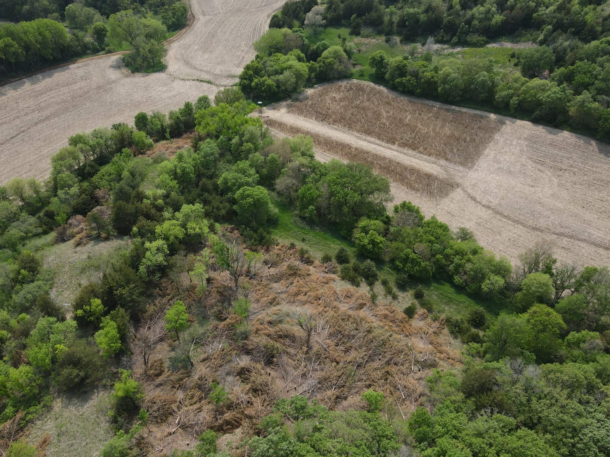 Consultation | Land & Legacy Restoration Plans