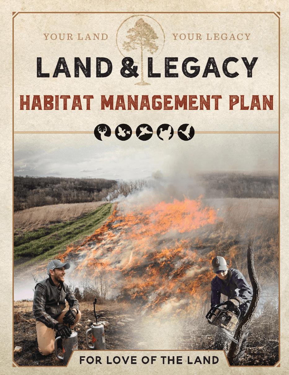 Consultation | Land & Legacy Restoration Plans